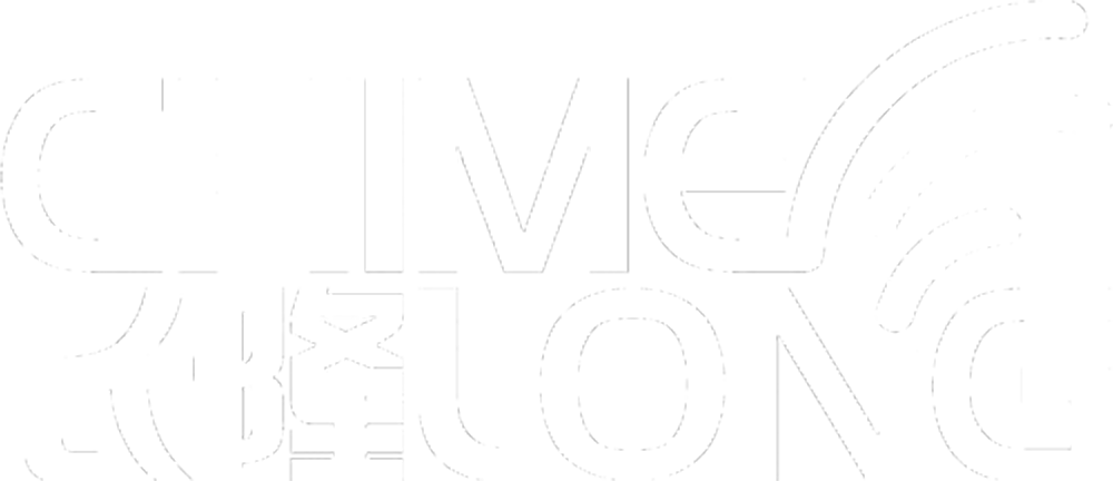 FORREC | We are an experience design company.