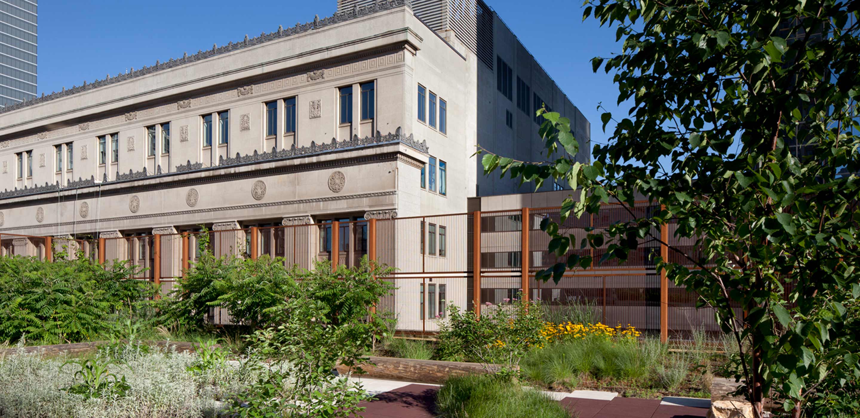 Centre for Native Child and Family Well-Being | FORREC